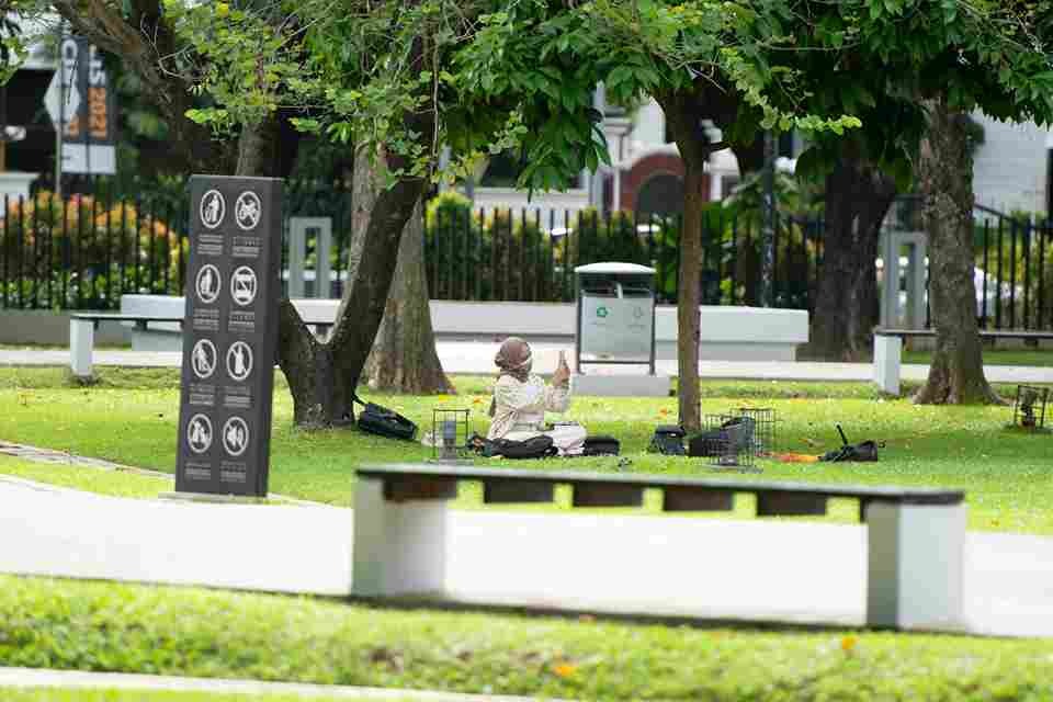 Yang Nggak Boleh Dilakukan Saat Main di Taman || Jakarta Smart City